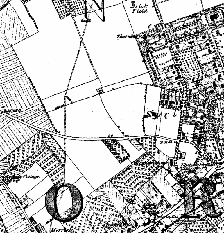 Spring Grove Residents' Association, Isleworth, UK